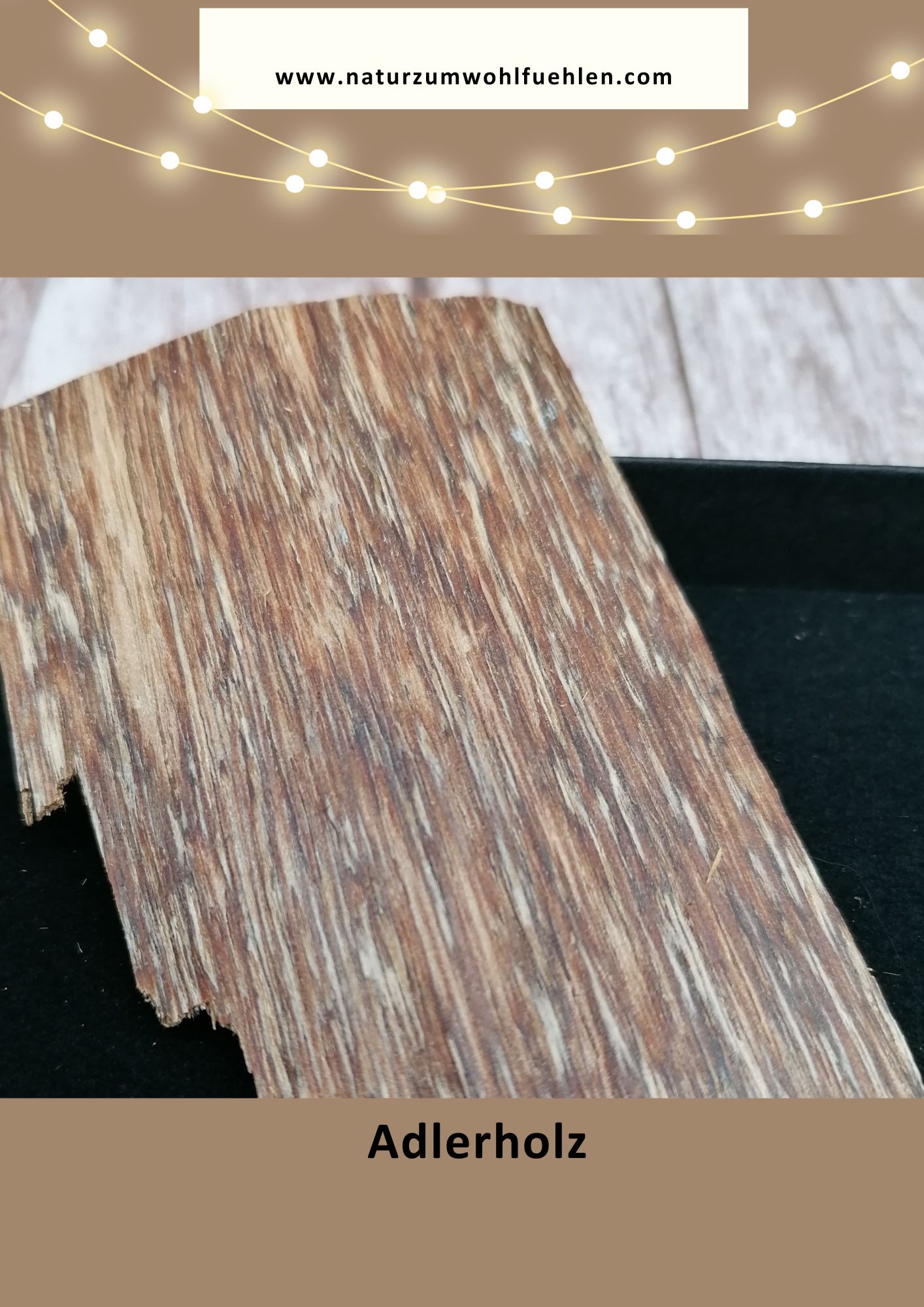 Adlerholz eine faszinierende Naturresourse - natur zum wohlfühlen